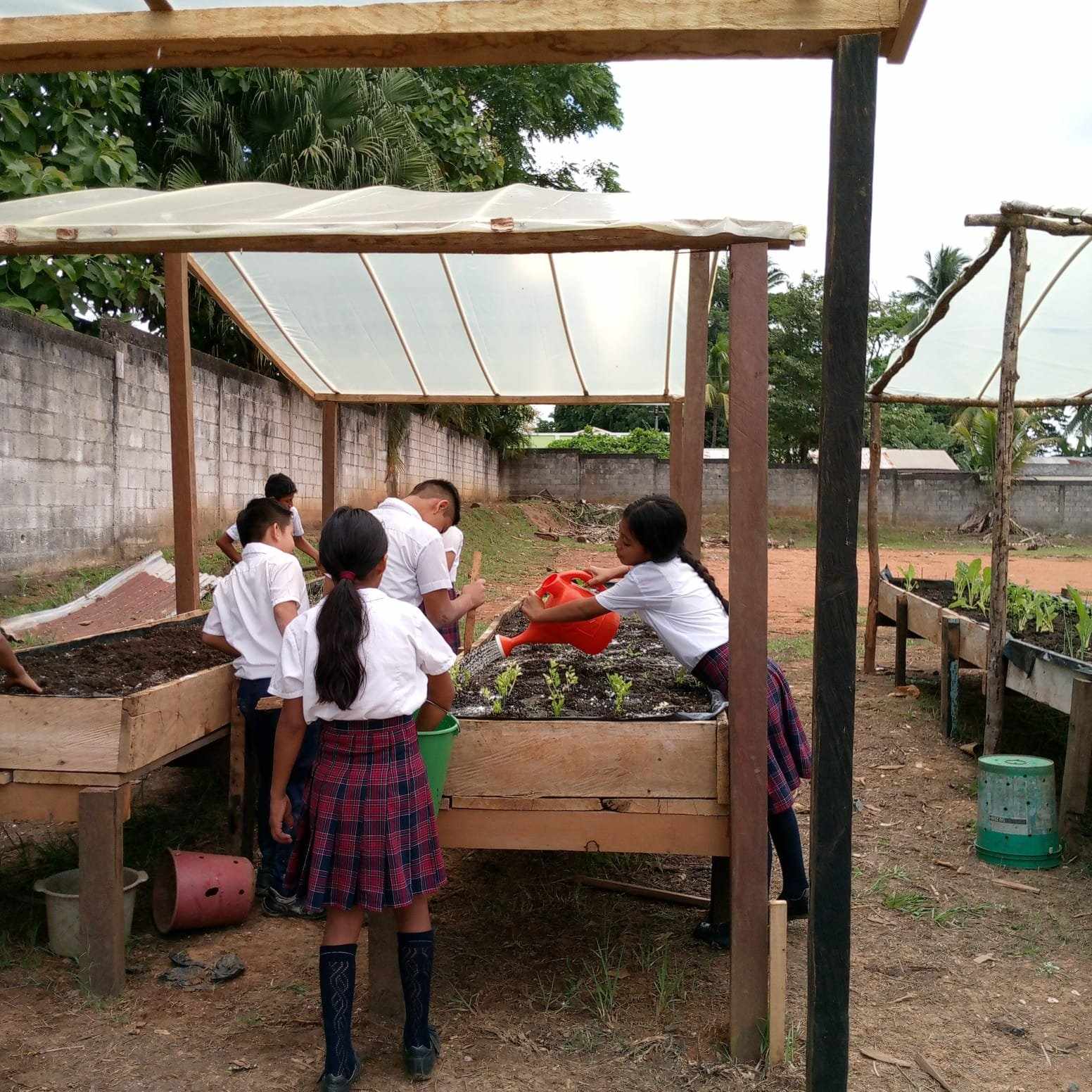 Students watering seedlings at Fray School – Sowing Opportunities